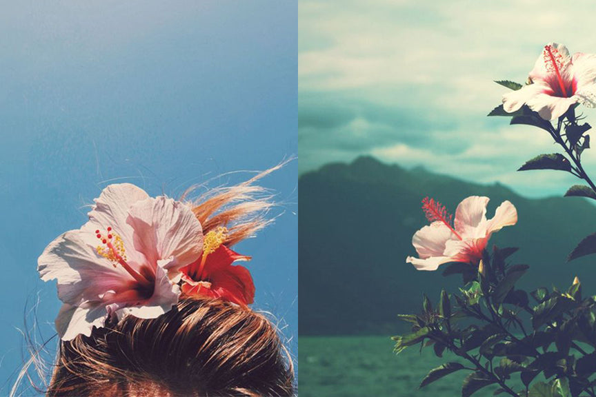 Pitta-Pacifying Ayurvedic Hibiscus Tea | Sakara